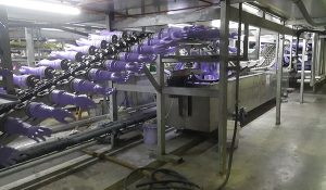 Dipping Machine - Xin Xin Engineering Sdn Bhd